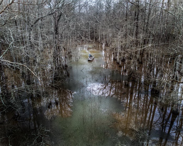Teve's Slough Winter View