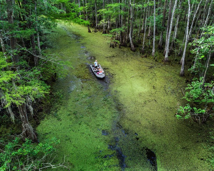 Teve's Slough Summer View